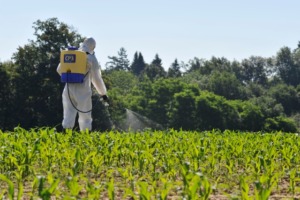 Manual knapsack sprayer : Cooper Pegler, professionnal Knapsack ...