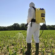 Compression knapsack sprayer, Cooper Pegler : professional knapsack ...